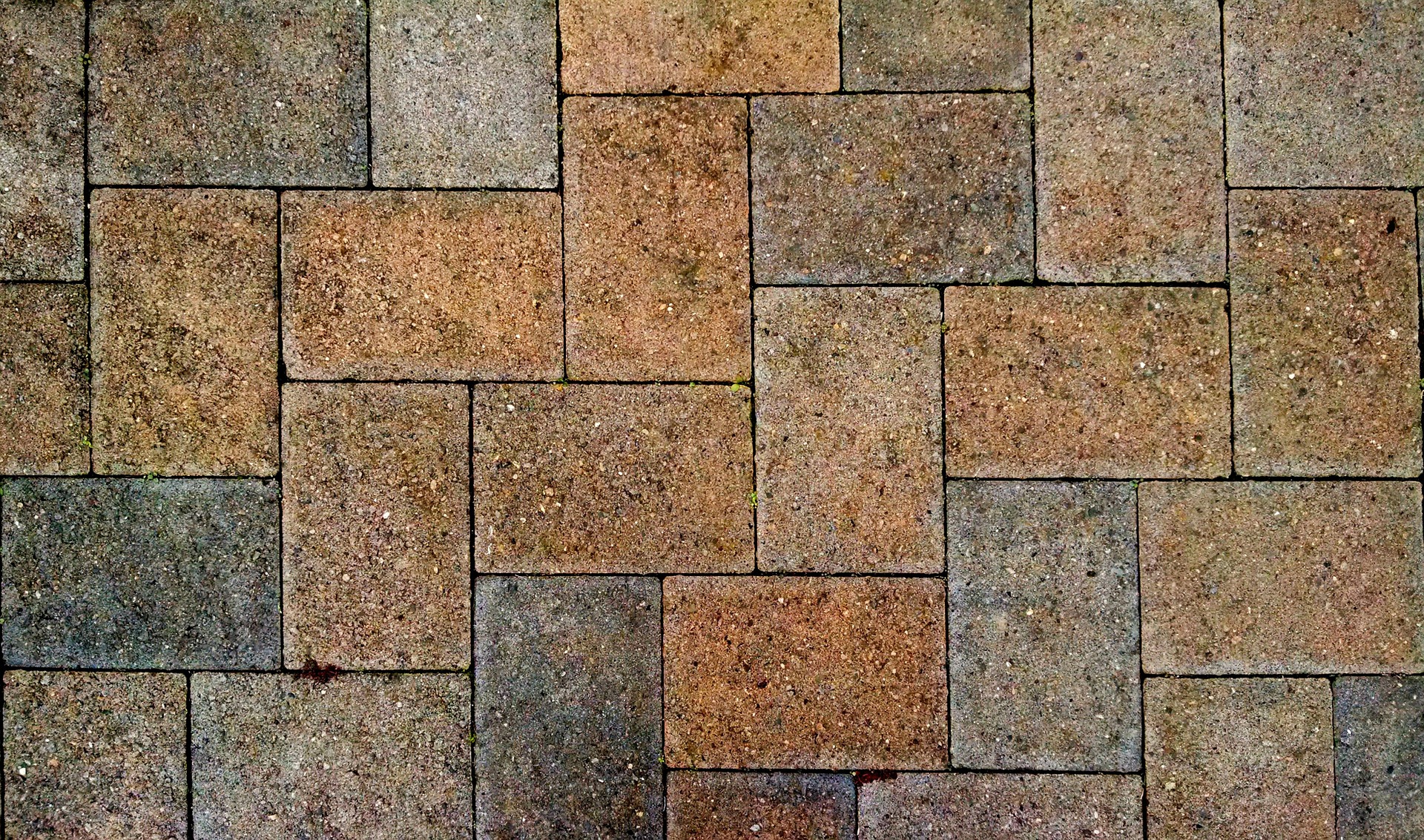 How to Design your Yard in 10 Simple Steps - The Girl with a Shovel