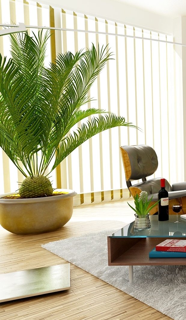 10 Low-Maintenance, Modern Indoor Plants - The Girl with a Shovel