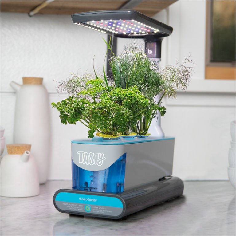 5 Effortless Indoor Herb Garden Kits - The Girl with a Shovel