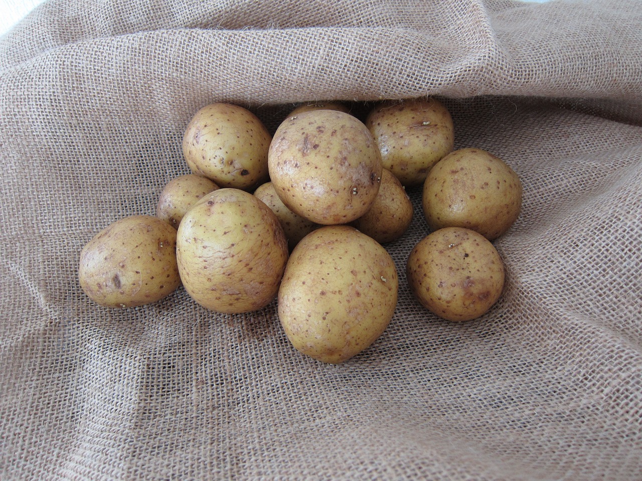 How to Plant Potatoes at Home: 11 Things You Should Know