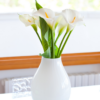 Calla Lily Care Indoors: Preventing and Fixing Drooping in Your Indoor ...
