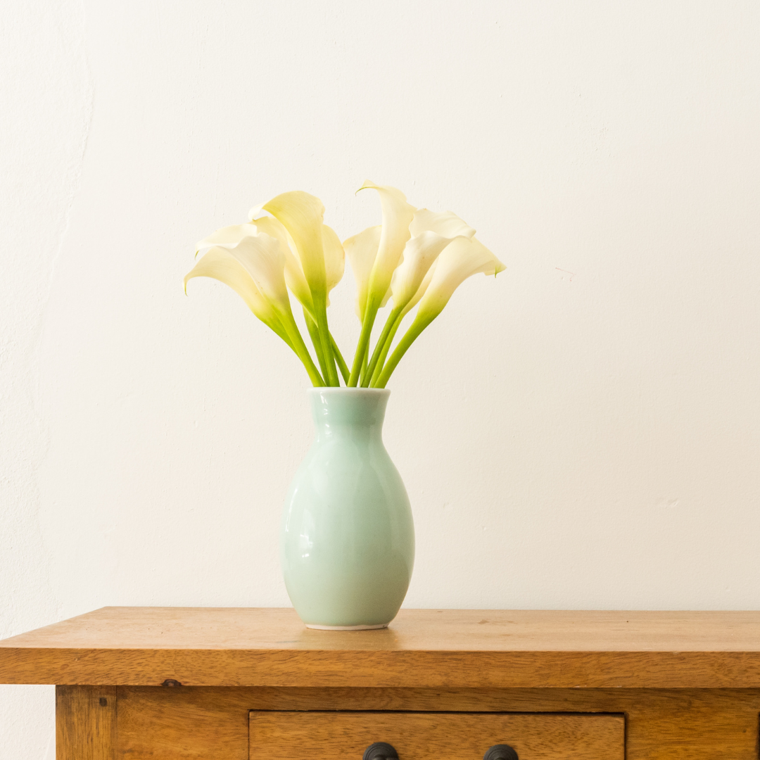 Calla Lily Care Indoors: Preventing and Fixing Drooping in Your Indoor ...